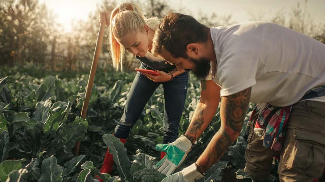 5 Easy Steps to Start Basic Organic Farming at Home