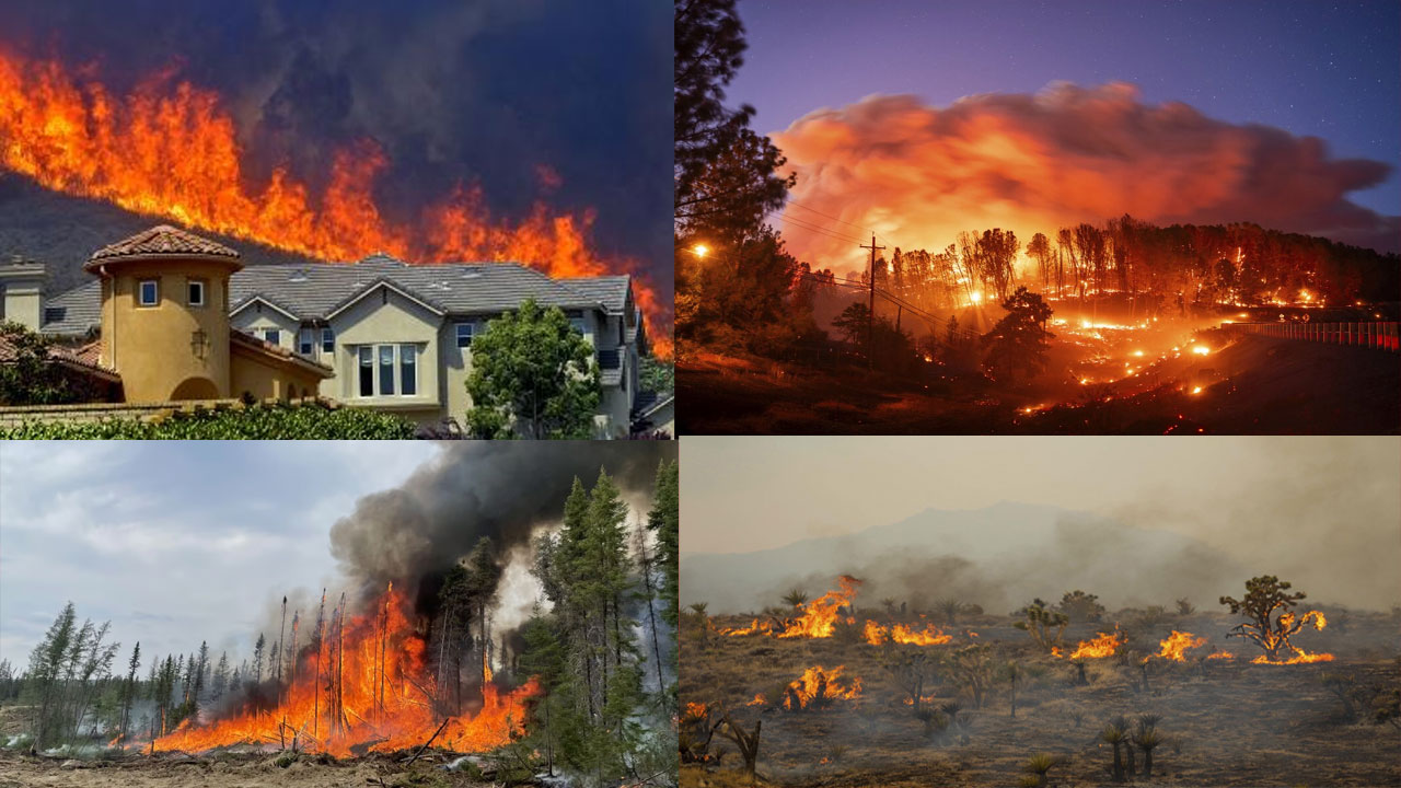 California Wildfire Crisis: 20,000 Acres Burned, State of Emergency ...