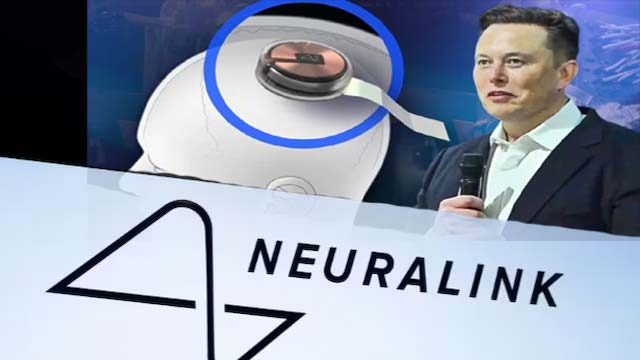 Co founder of Neuralink, who left 'Elan Musk's company'