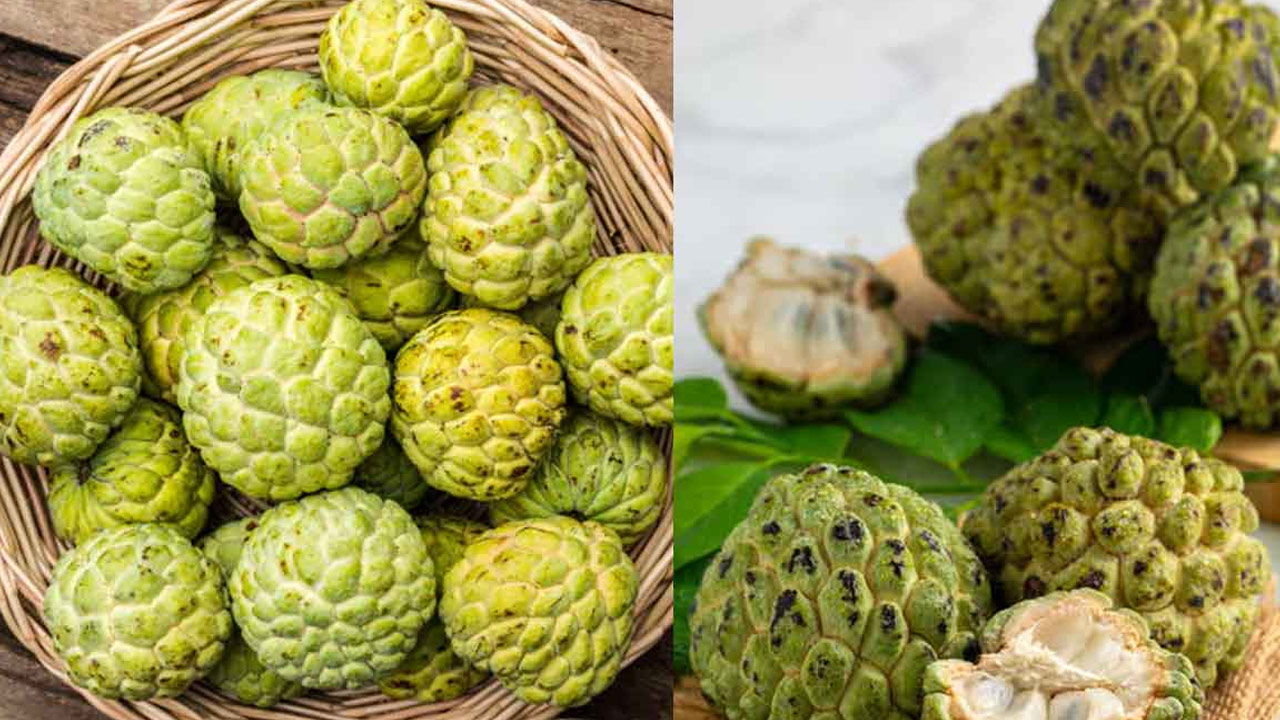 Health Benefits of Custard Apples