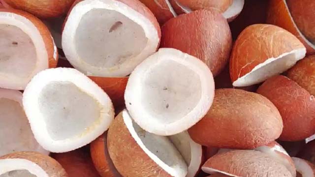 Benefits of Eating Dry Coconut