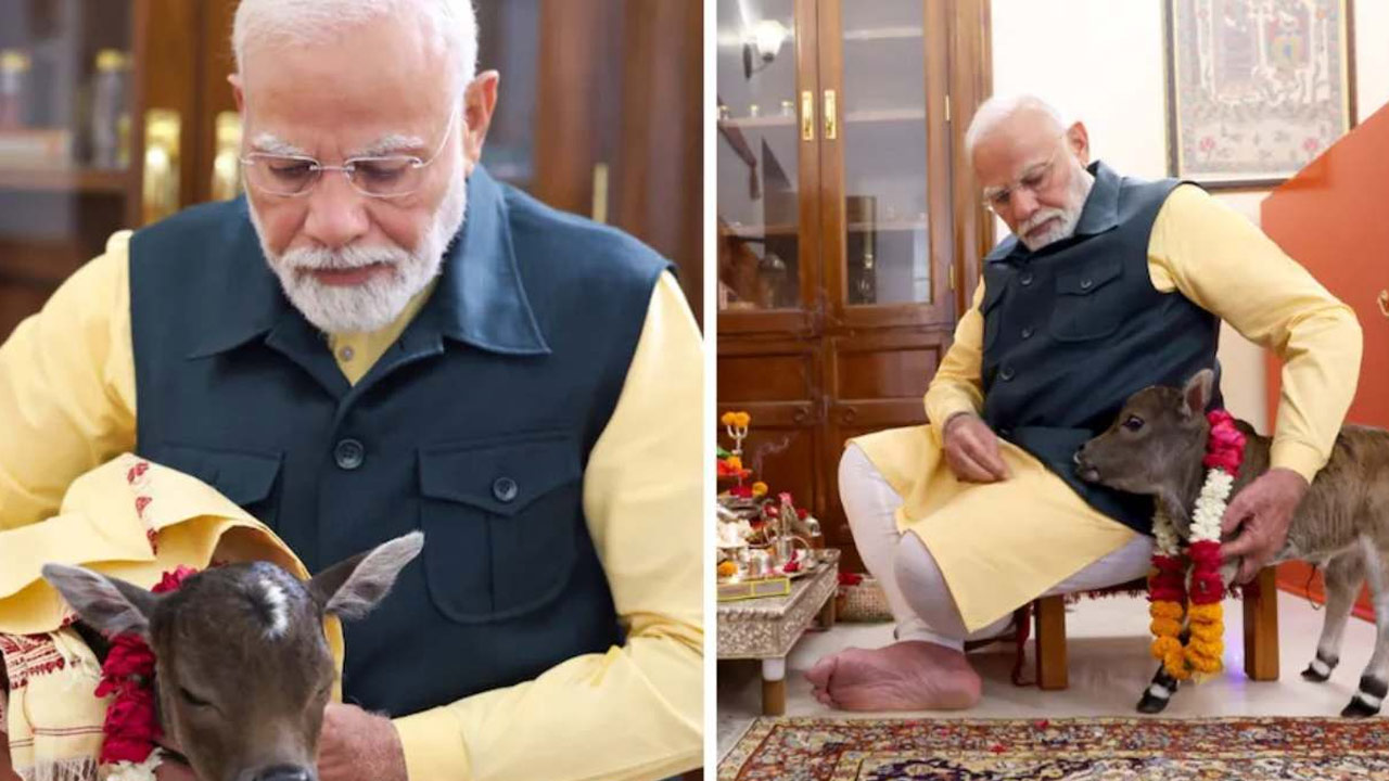PM Modi Welcomes New Calf Named 'Deep Jyoti' to Official Residence in ...