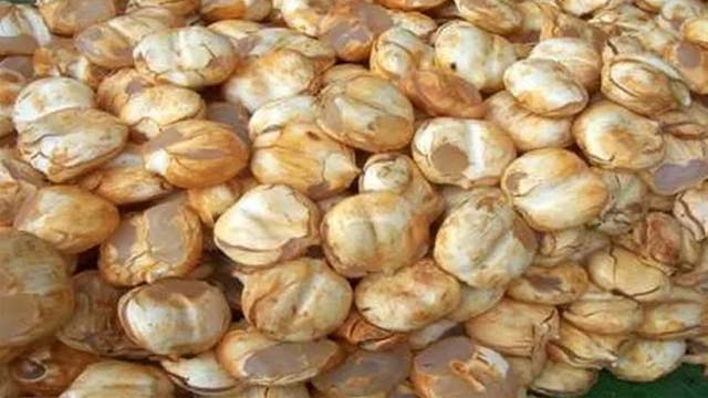 These are the health benefits of palm kernels: