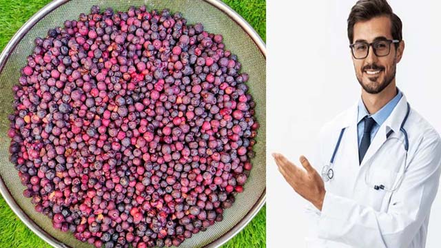 Phalsa Health Benefits