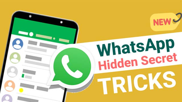 WhatsApp's Major New Calling Features: Key Points