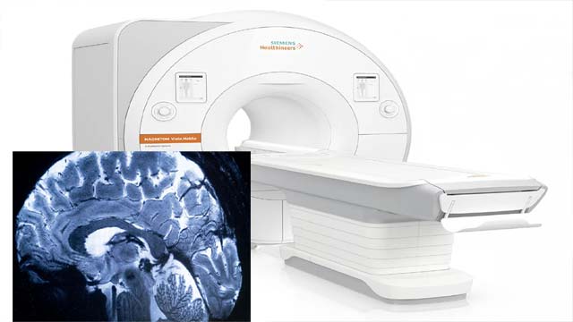 The worlds most potent MRI scanner
