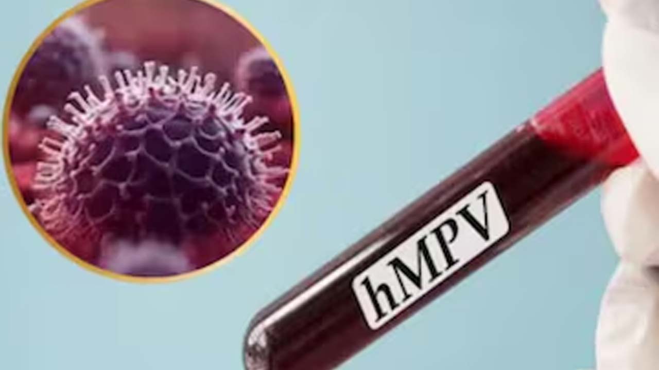 Human Metapneumovirus: Symptoms, Transmission, and Care