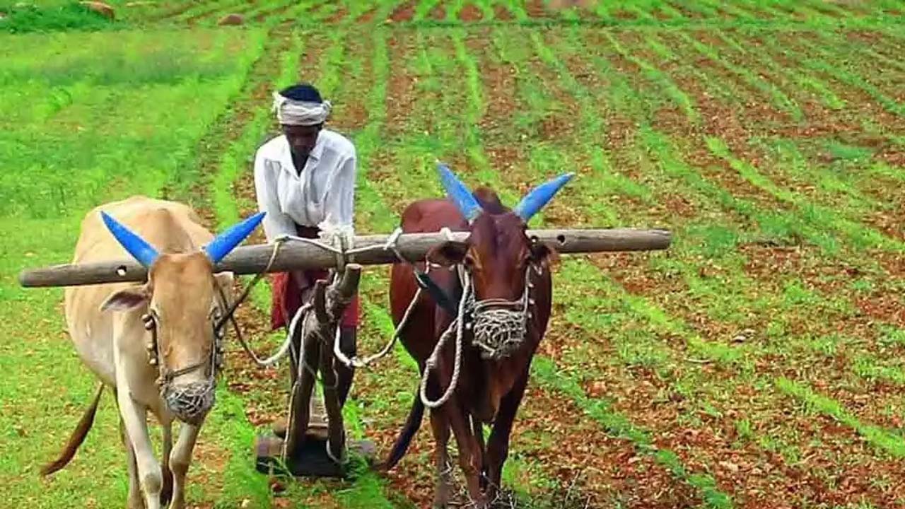 Rythu Bandhu Funds Disbursed as Telangana Unveils Four New Welfare Schemes